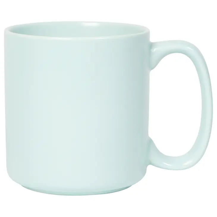 Matte Robin's Egg Blue Mug – Modern Pastime